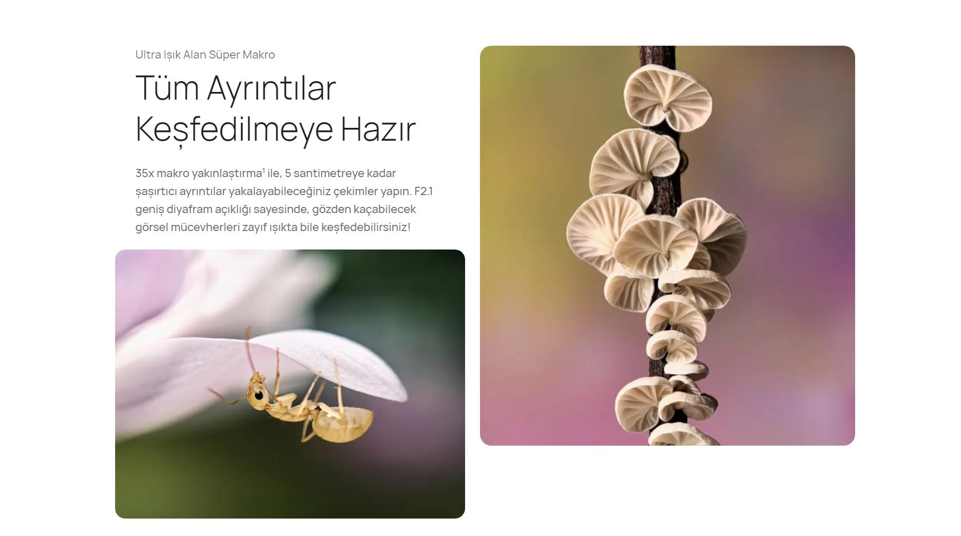 Huawei Pura 70 Pro 12 GB RAM 512 GB Siyah - Fiyatı, Yorumları
