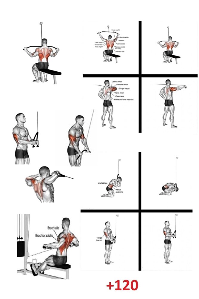 Duvar Tipi Cable Crossover Lat Puldown & Pushdown ,row ,biceps ,triceps ...