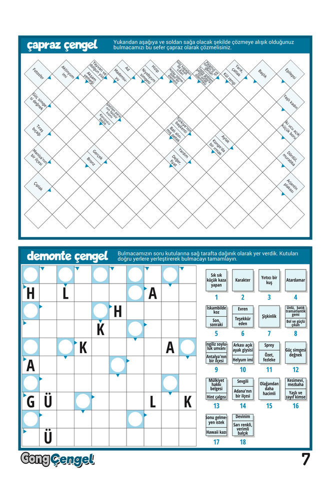 Çengel Bulmaca Set-5 Kitap-1.000 Adet Çengel Bulmaca Kullanıcı ...