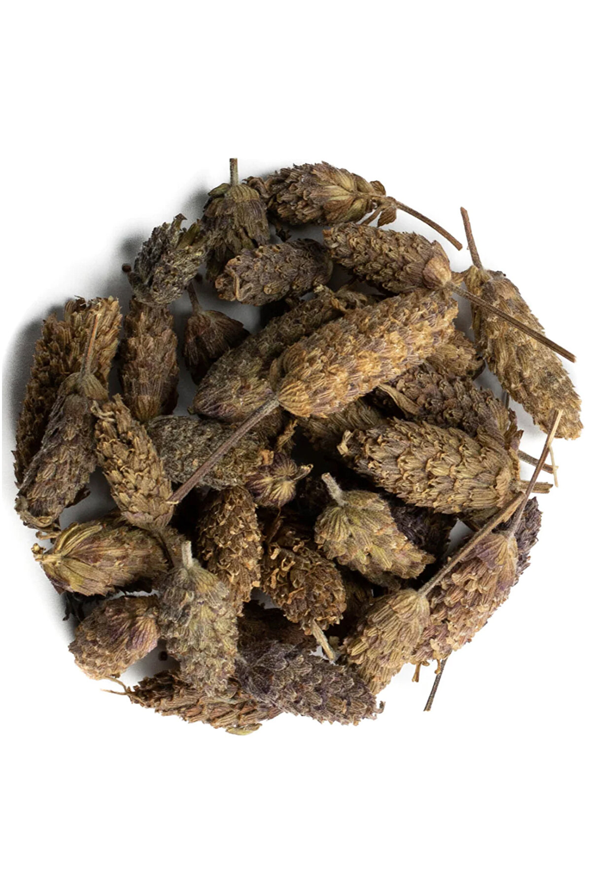 SELNUS Karabaş Otu 100 gram ( Lavandula Stoechas ) Isti Quduz Fiyatı ...