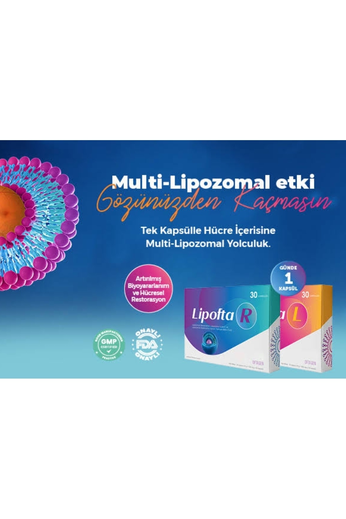 Lipofta L 30 Kapsül Multi Lipozomal Vitamin Kompleks Resveratrol ...