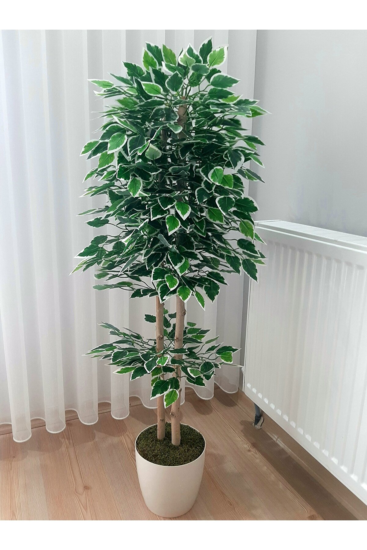 SeR Hediyelik Büyük Salon Bitkisi, Beyaz Saksıda Yapay Benjamin Ağacı ...