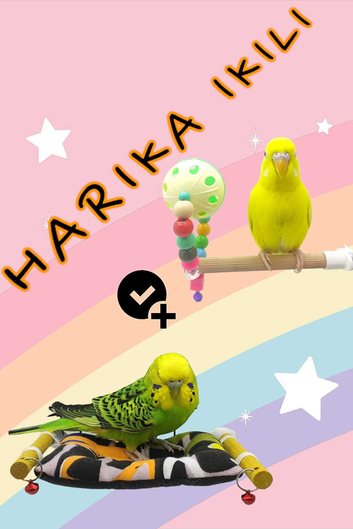 ozzipetshop Muhabbet Kuşu, Cennet Papagani Toplu Tunek Oyuncak ve ...