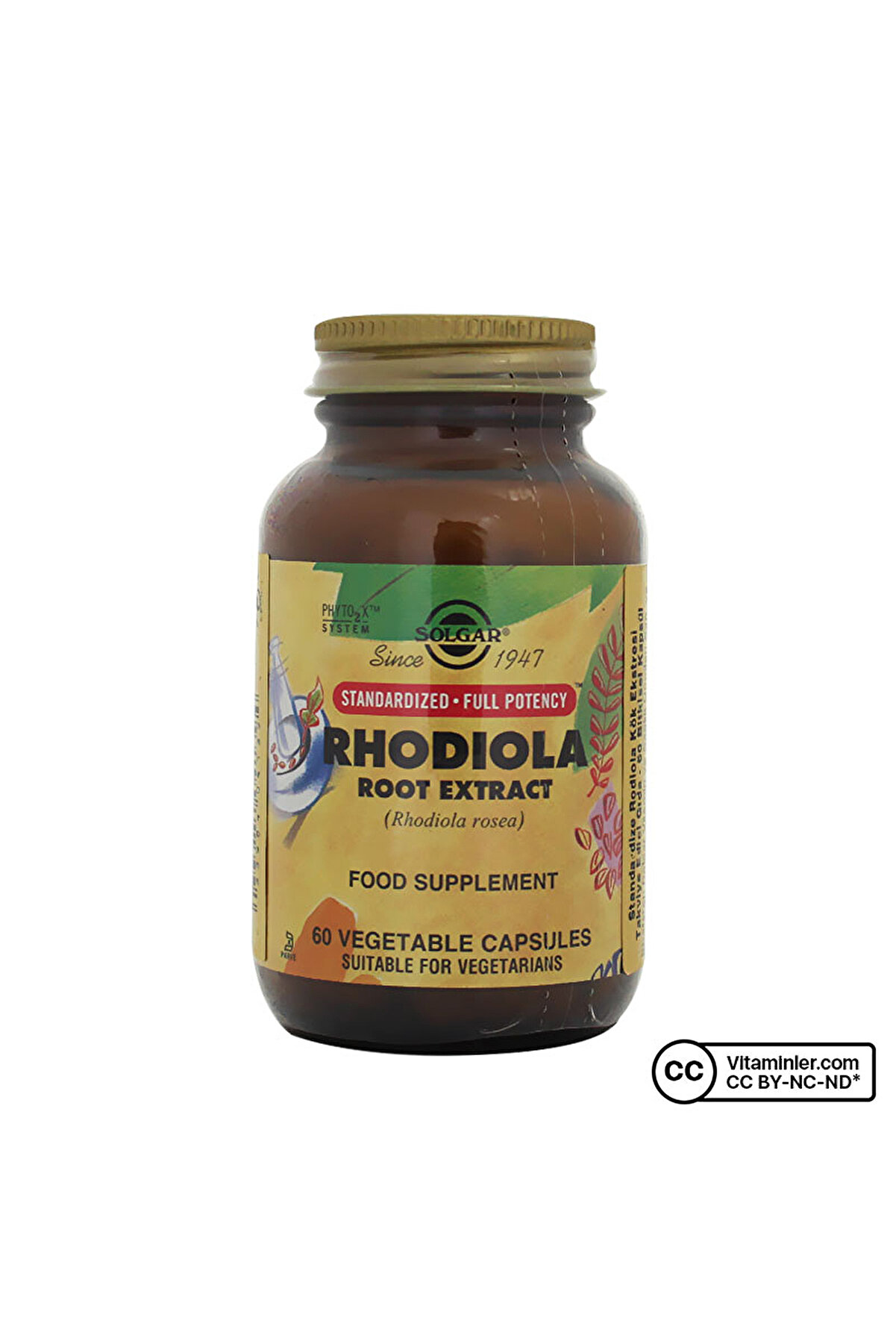 Solgar Rhodiola Root Extract Rhodiola Rosea 60 Kapsül Fiyatı, Yorumları ...
