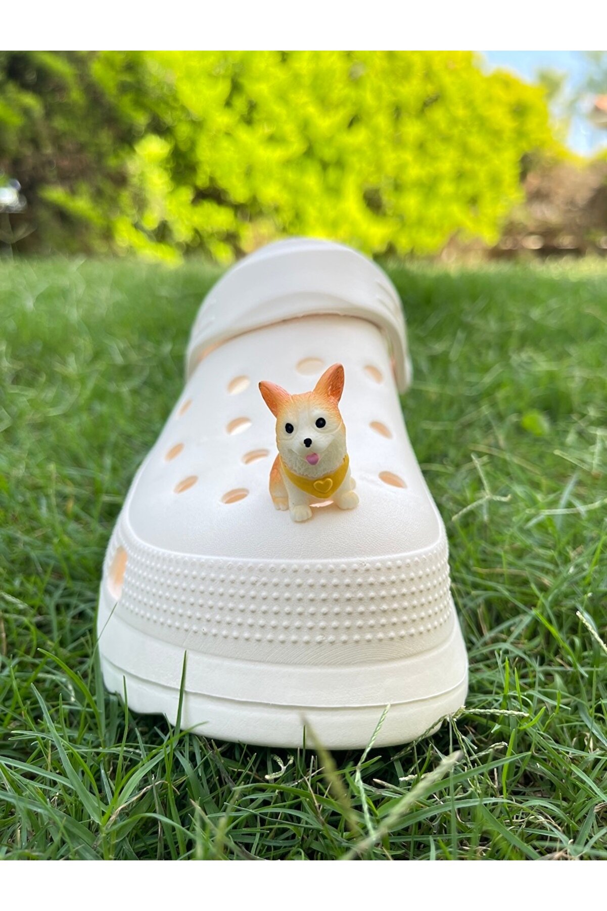 Crocs Corgi Köpek Crocs Terlik Süsü Üç Boyutlu/Köpekli 3D Crocs Charm ...