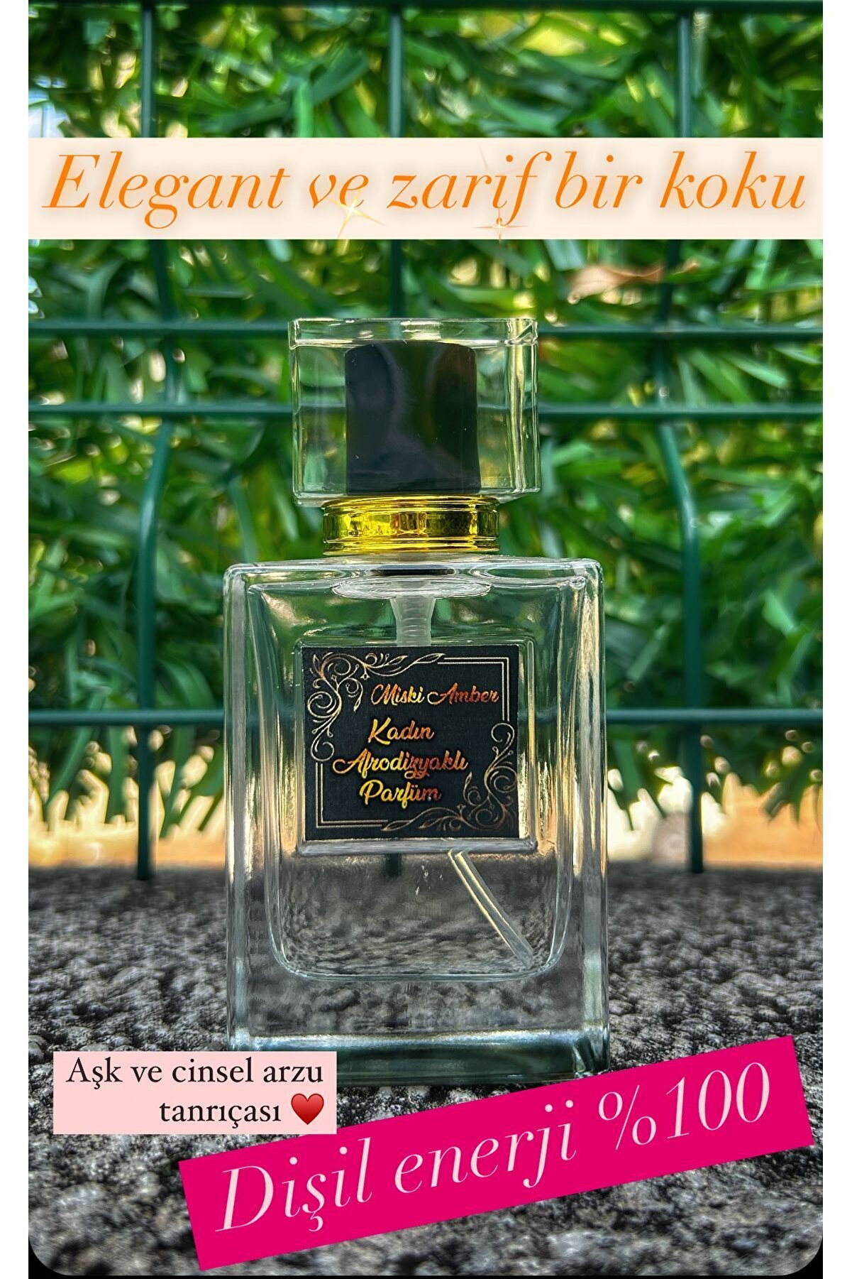 safranbolu miski amber Miski Amber Etkileyici Kadın Afrodizyaklı Parfüm ...