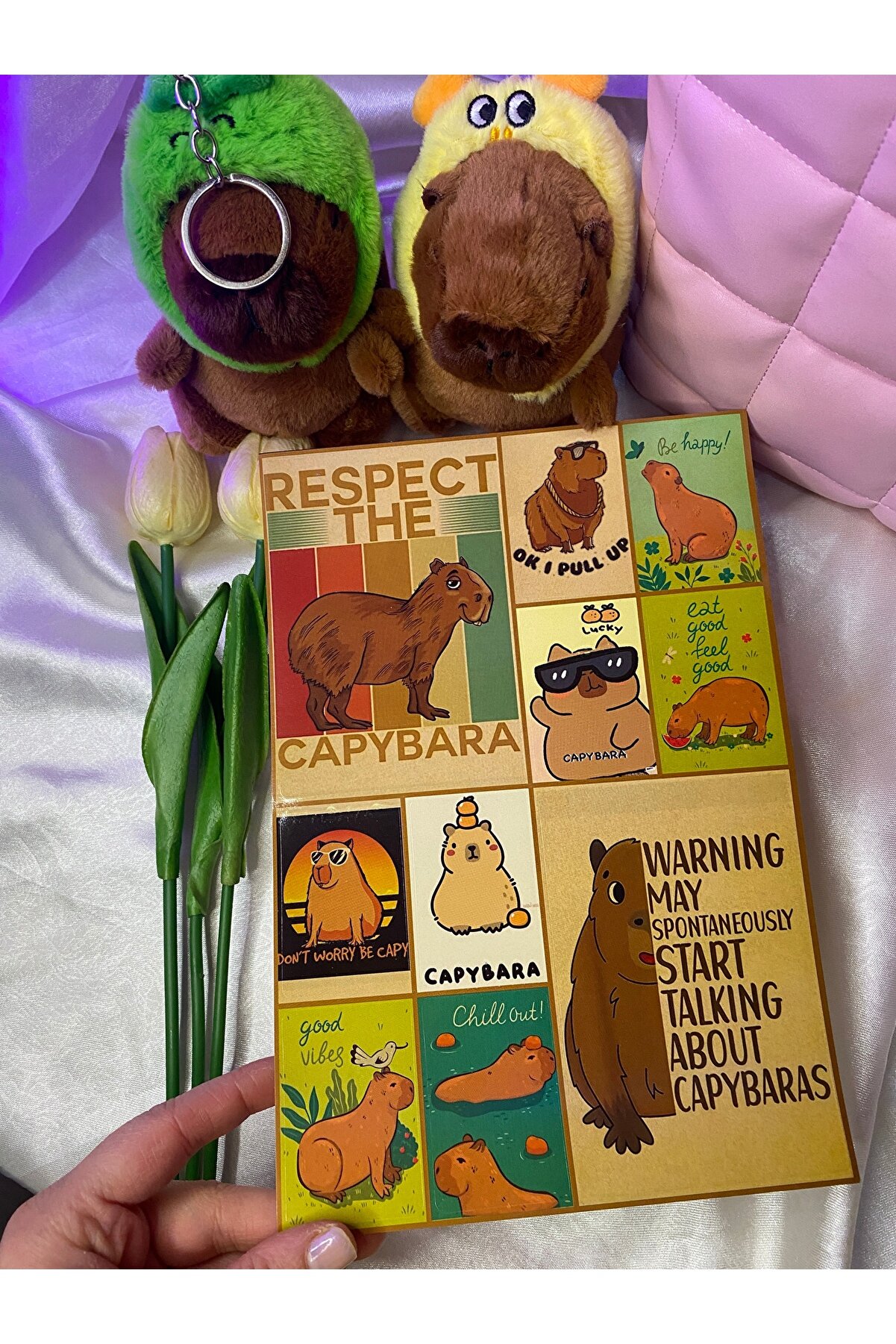 hediye 1 adet, capybara sticker ,renkli baskı sticker capy bara ...
