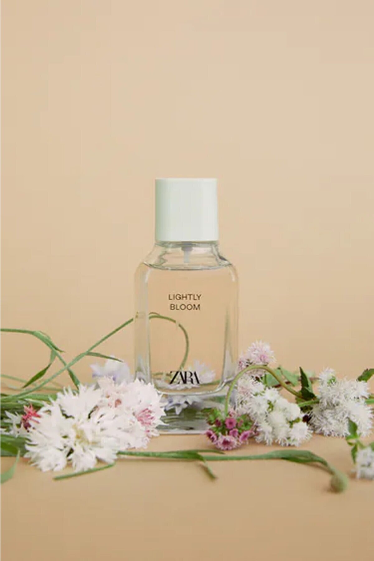 Zara Lightly Bloom Edp 100 Ml Kadın Parfüm Fiyatı, Yorumları - Trendyol