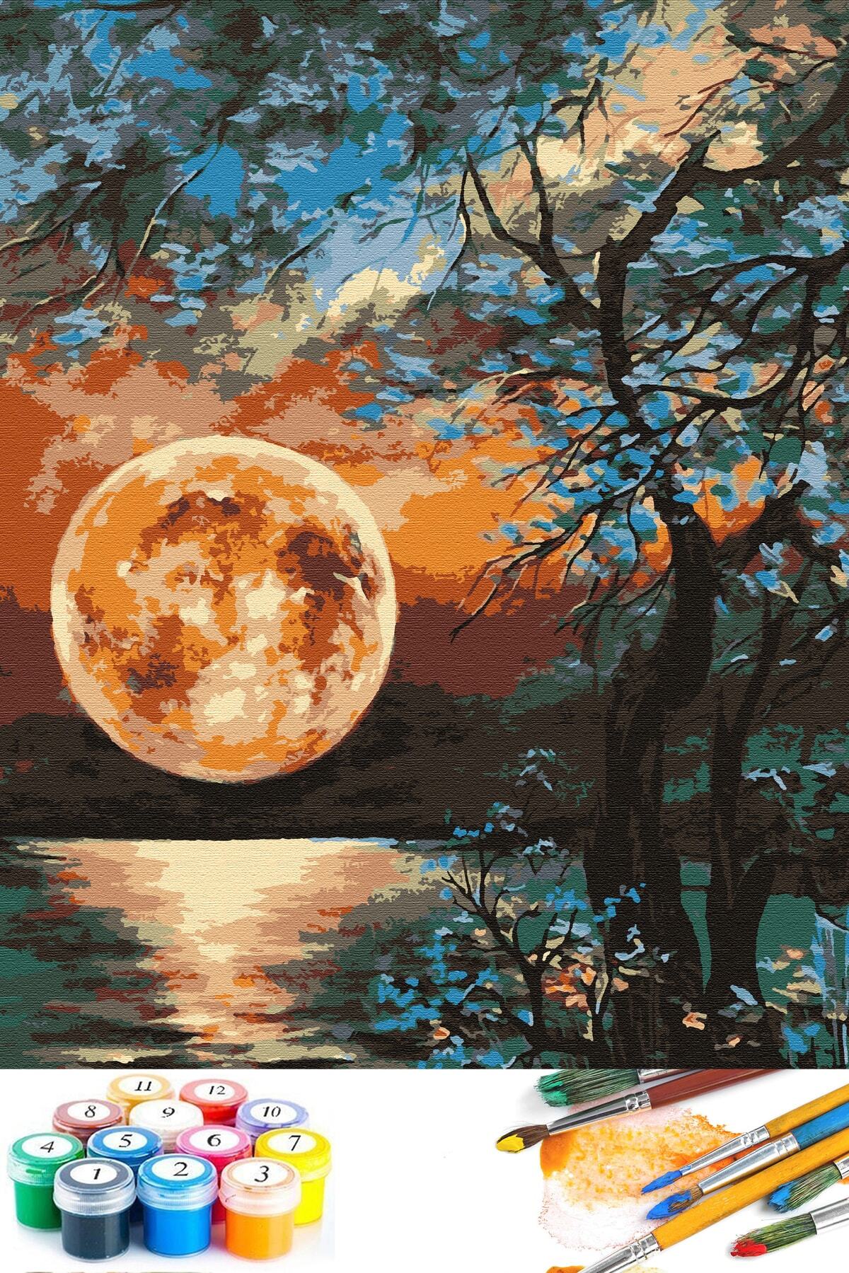 abbara Sayılarla Boyama Hobi Seti Çerçeveli Numaralı Tuval Fırça Boya ...