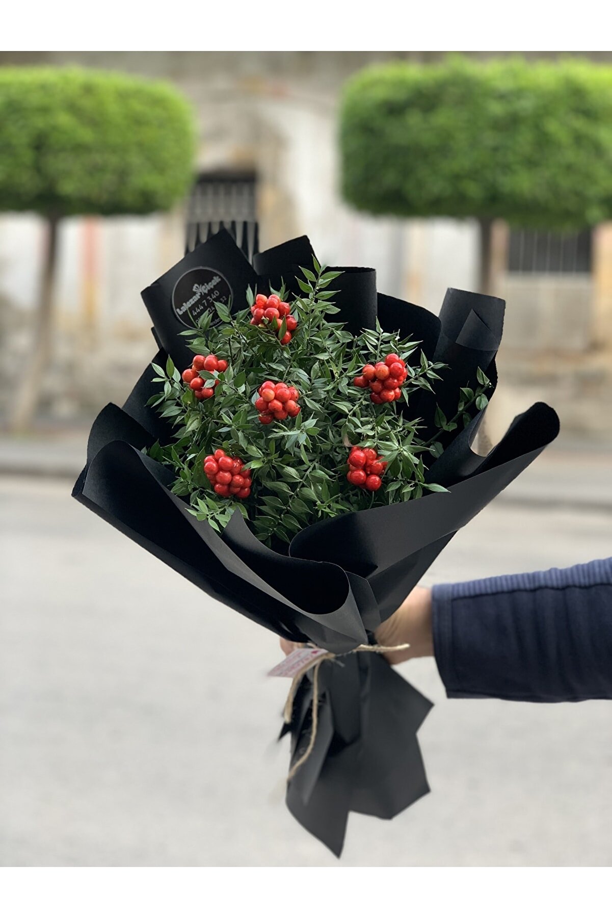 LALEZAR ÇİÇEK Canlı Kokina Şans Ve Yılbaşı Çiçeği - Fiyatı, Yorumları