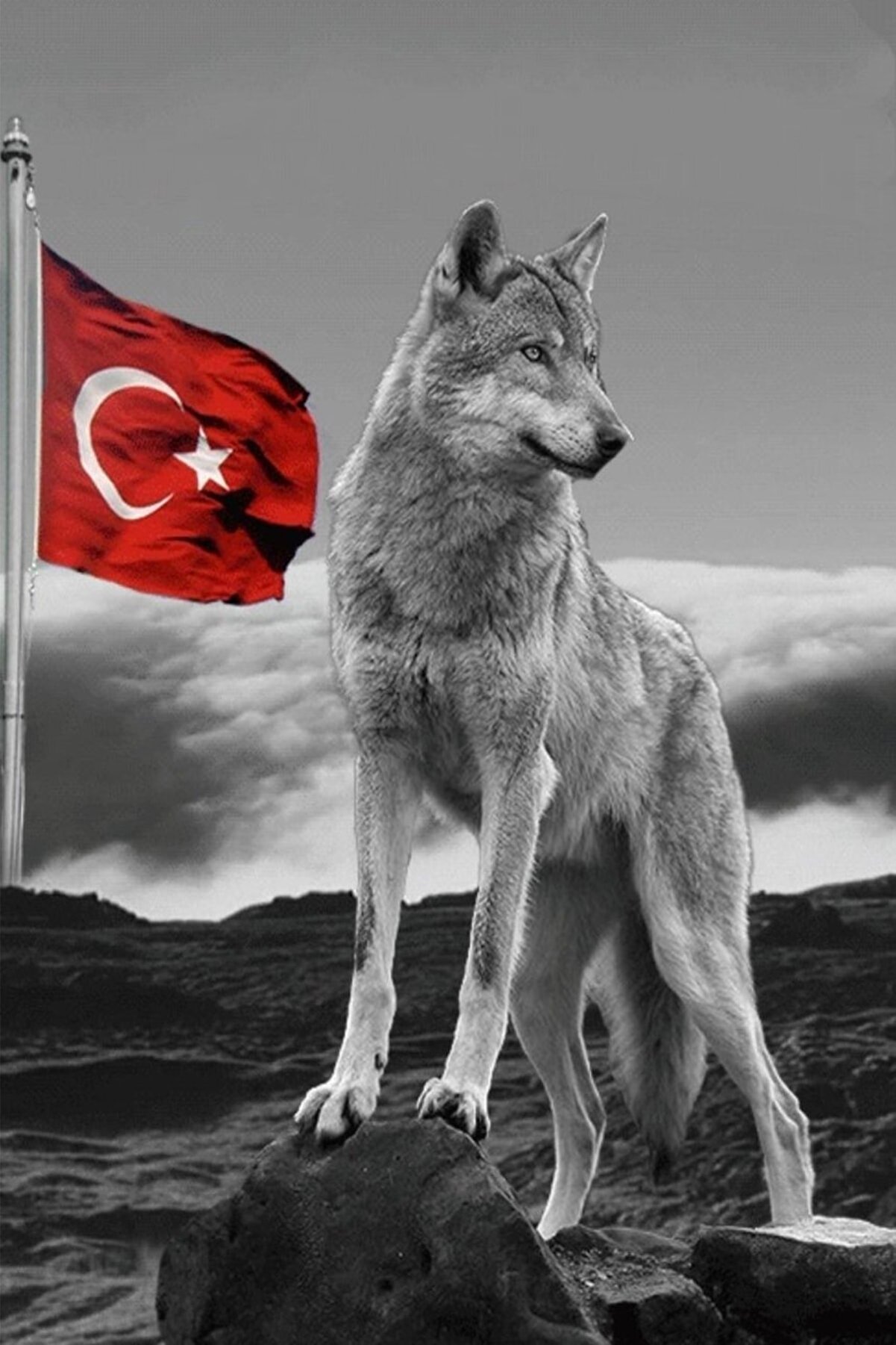 LİPYOS Türk Bayrağı Bozkurt Ahşap Poster Tablo 20cmx30cmFiyatı ...