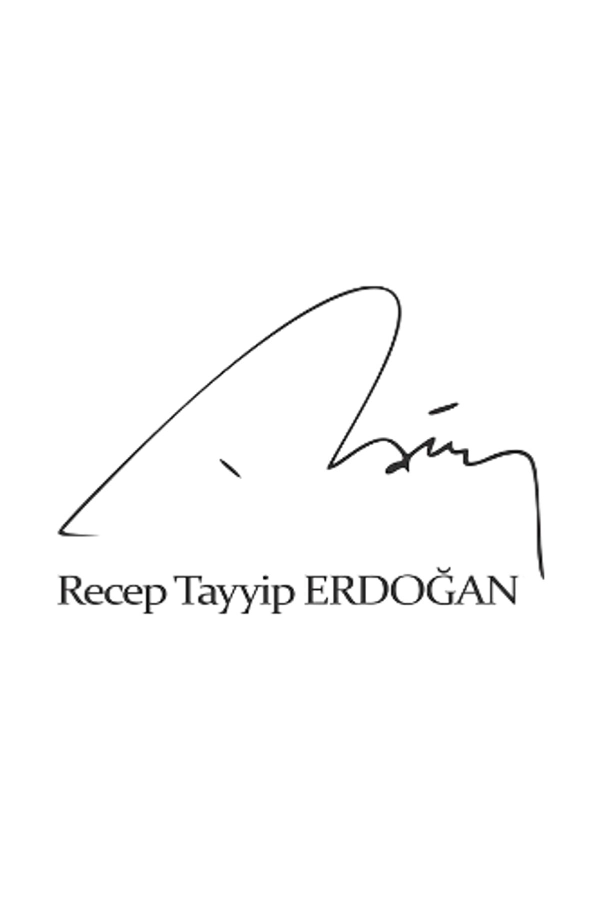 Sticker Sepetim Recep Tayyip Erdoğan İmzası Sticker Fiyatı - Trendyol