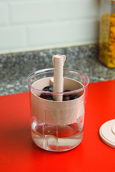 Bager Plastik Storage Box Styles, Prices - Trendyol