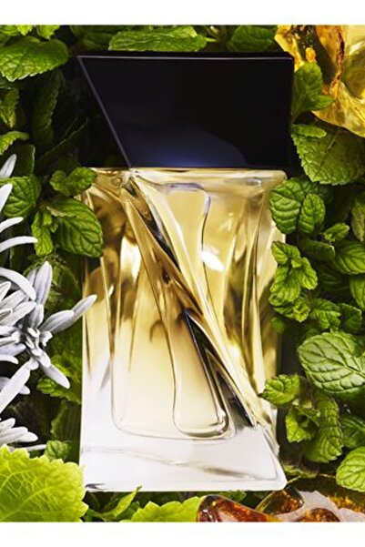 Lancome Men Perfume and Deodorant Styles, Prices - Trendyol