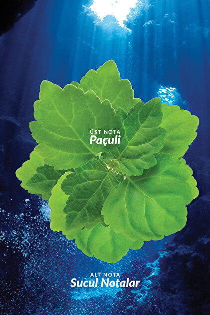 AVON Musk Intense Erkek Parfüm Edt 75 Ml. - 3