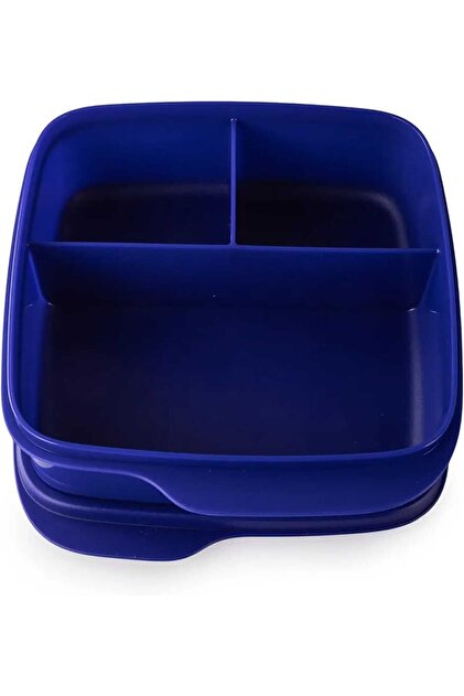 tupperware box with compartments