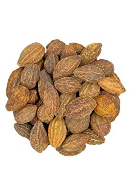 SELNUS Karahalile 100 gram ( Terminalia Chebula ) Kara Halile Bitkisi ...
