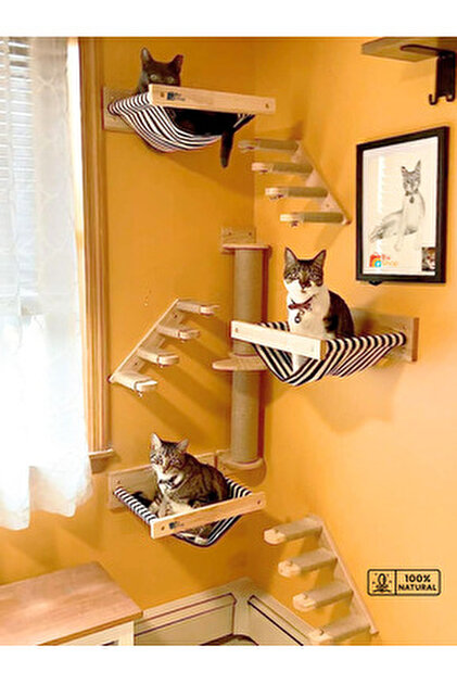 BUSHOP Kedi Parkuru, Kedi Evi, Kedi Yatağı, Kedi Duvar Evi, Kedi Duvar ...