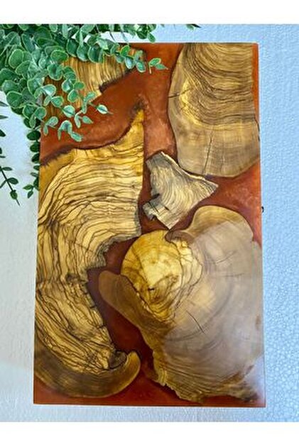 woodworm TAVLA TAKIMI EPOKSİ VE ZEYTİN AĞACI - Fiyatı, Yorumları