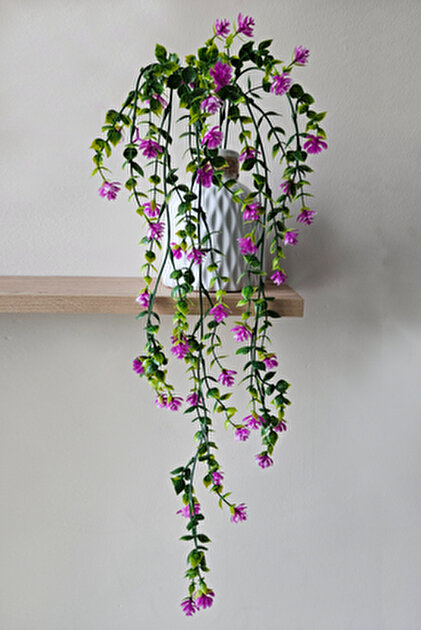 Dekosimge Yapay Okaliptus Sarkan Bitki 65 Cm - Fiyatı, Yorumları