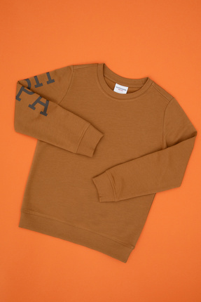U.S. Polo Assn. Erkek Çocuk Camel Basic Bisiklet Yaka İnce Sweatshirt ...