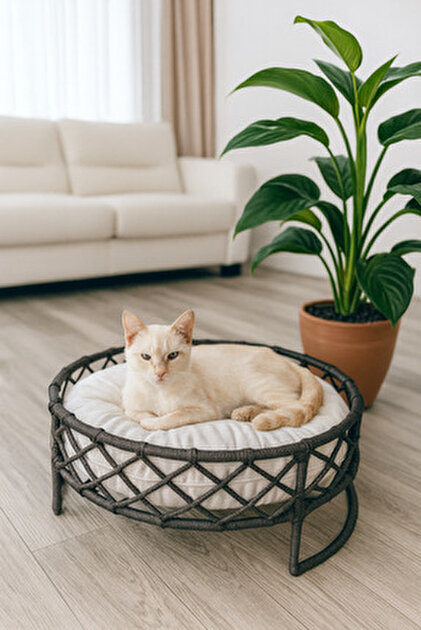 TASARYUM Kedi Köpek Yatağı El Işçiliği - Fiyatı, Yorumları