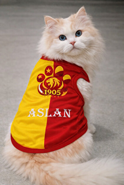 PuluPulu 🐱 🐶 İSİM ve RAKAM Yazilabilen Kedi ve Köpek Taraftar Forması ...