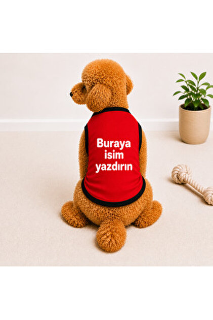 petite pati İSİM yazdırılabilen kedi ve köpek tshirt kopek kıyafet i ...