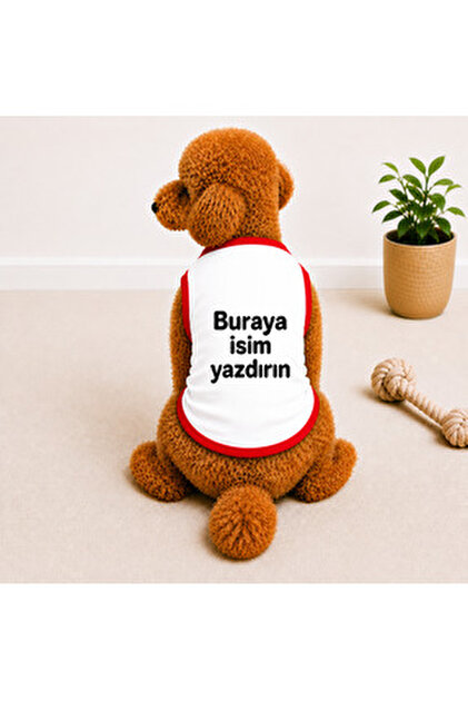 petite pati İSİM yazdırılabilen kedi ve köpek tshirt kopek kıyafet i ...
