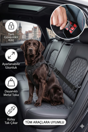AYACO Evcil Hayvan Araç Emniyet Kemeri Kedi Köpek Araba Oto Tasması Oto ...
