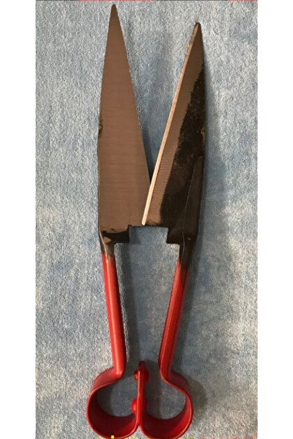 sheep shearing scissors
