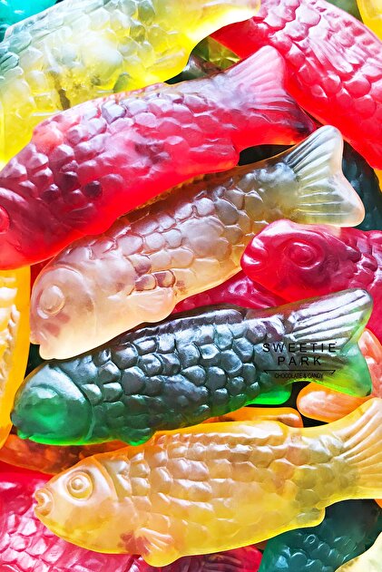 giant fish sweets