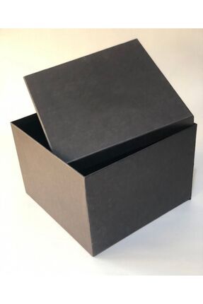 carton box Modelleri Fiyatlar Trendyol