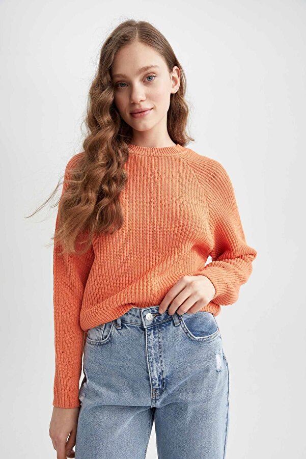 Defacto Crew Neck Cool Sweater - Regular Fit L2567az22au - Trendyol