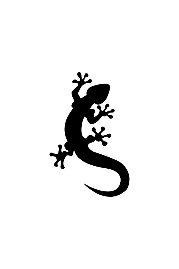 rbm tedarik 20x30 cm Lizard Sticker - Auto, Motor, Laptop, Wall and ...