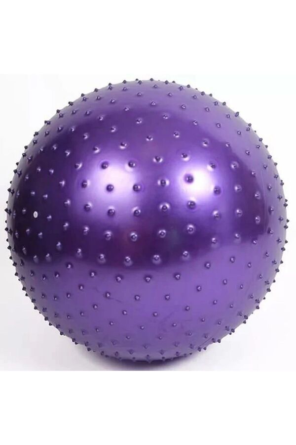 2045 RHB 65 cm Purple Spiky Sensory Exercise Ball and Pump Set - Trendyol