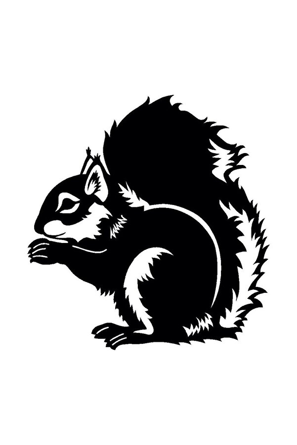 Kıvırcıkyoga Squirrel Auto-Motor-Laptop-Wall Decoration - 10x11 Cm ...