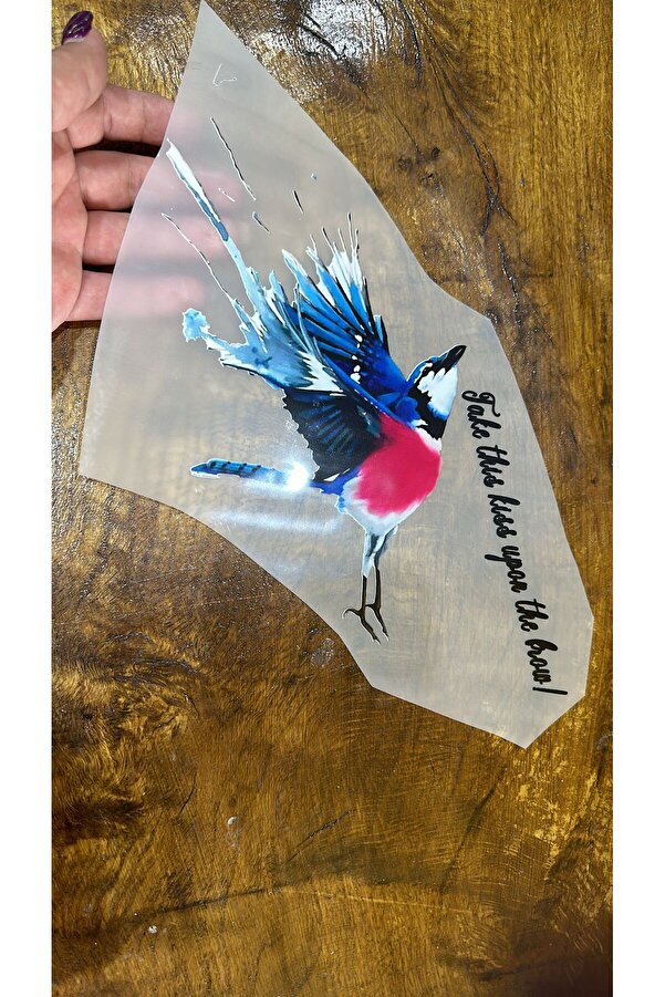 Gönülden Tasarım Bird Transfer Print Sticking with Colorful Iron ...