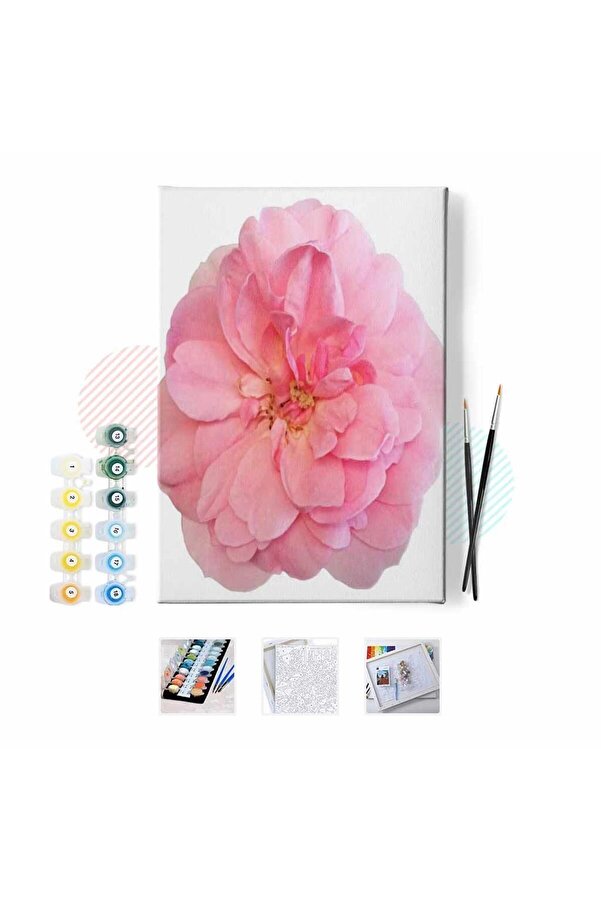 Pastelya Simple Floral Pattern Painting Set Without Frame and Pulley 3 ...