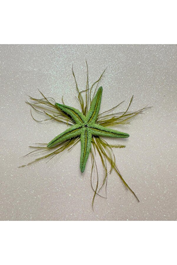 queen accessories Starfish Buckle - Birth, Henna, Engagement ...