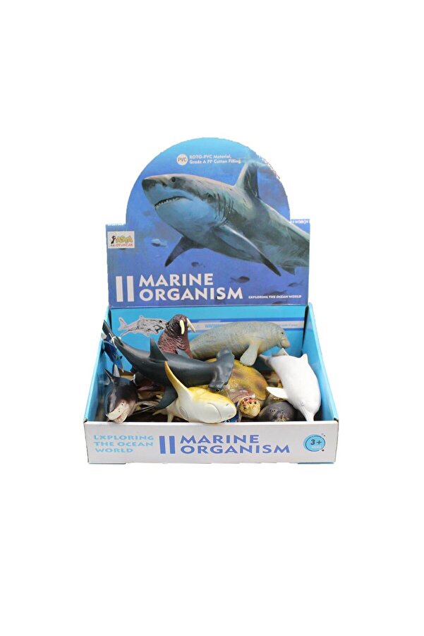 Asya Oyuncak 8 Model Marine Sea Animals Figures 1 Piece - Trendyol