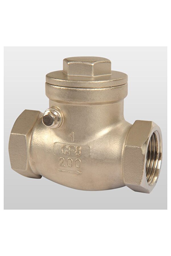 AYVAZ Sc-201 - Aisi304 Stainless Threaded Chopping Check Valve - Trendyol