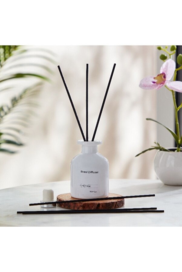 Home Box Balmy Suede Vetiver Reed Diffuser - 100 ml - Trendyol