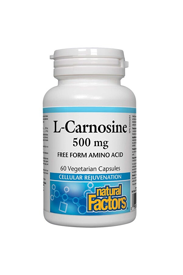Natural Factors L-carnosine, 500 mg, 60 Veggie Capsules- Trendyol