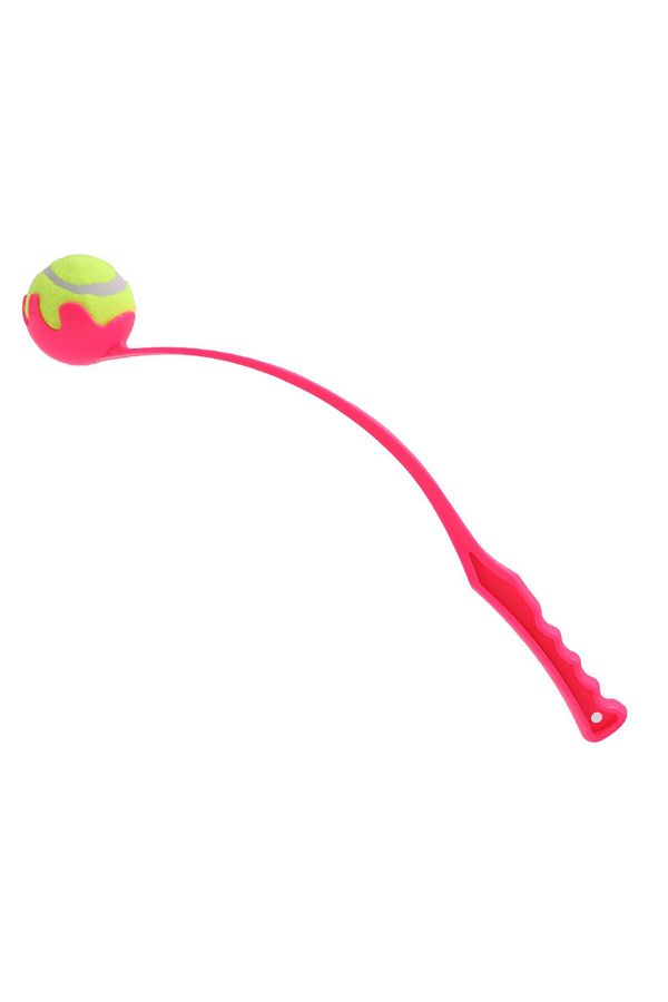 Ball on a stick for dogs store