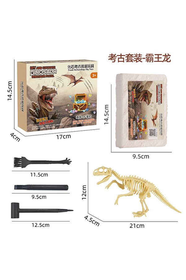 Choice Archaeological Excavation of Dinosaur Fossils, Hand-made Plaster ...