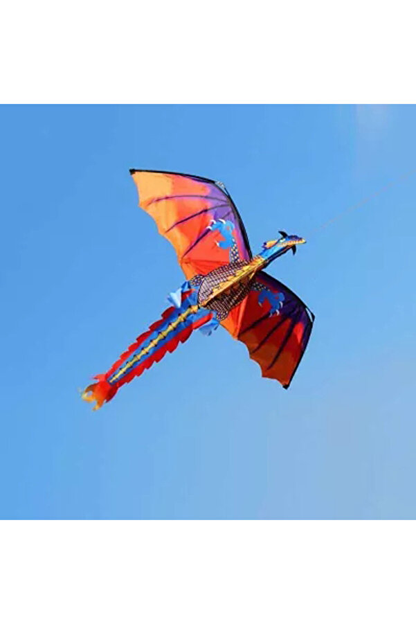 Choice 3D Dragon Kite Single Line Flying Kites with Tail and Handle ...
