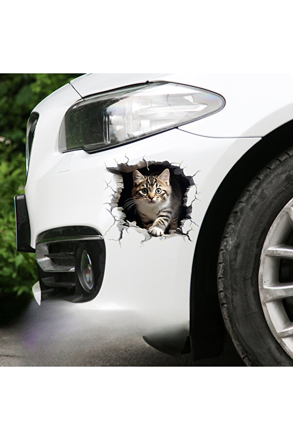 Choice 24CM A 3D Cat Car Stickers Auto Body Bumper Cover Scratches ...