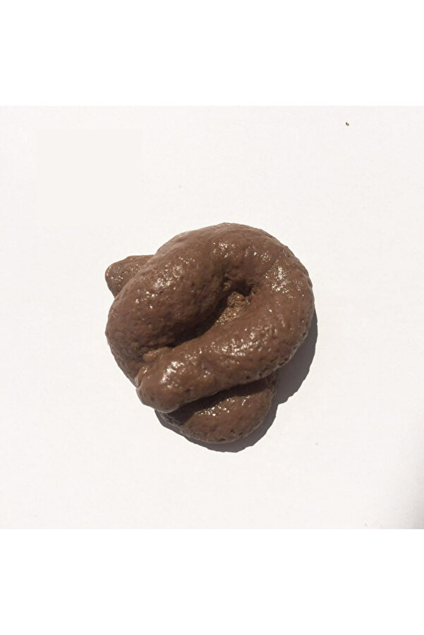Choice Realistic Shit Gift Funny Toys Entertainment Realistic Poop Kit ...