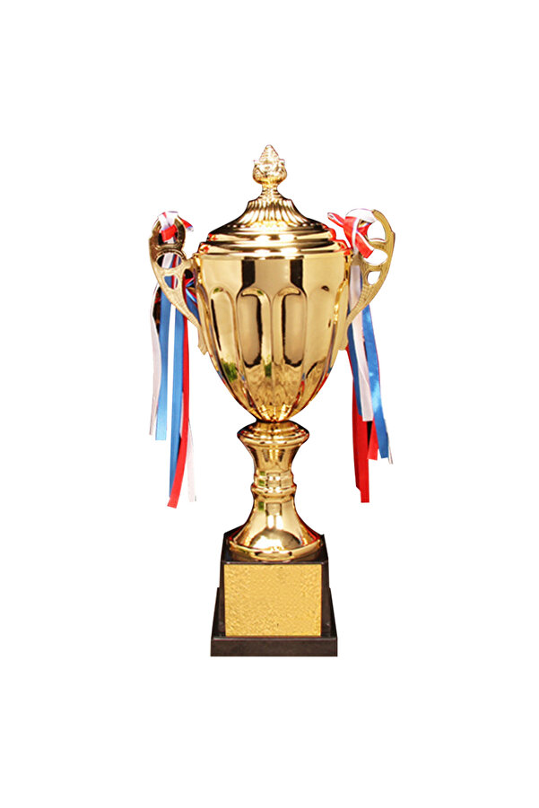 Shunmaii Trophy Cup Gold Gold Achievement Trophies Metal Award Trophy ...